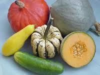 مزرعه: Seed production technology of Cucurbits