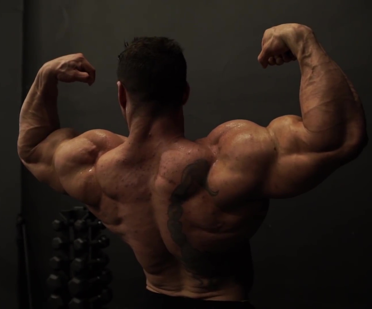 Muscle Lover: Brazilian bodybuilding super star - IFBB Pro Rafael ...