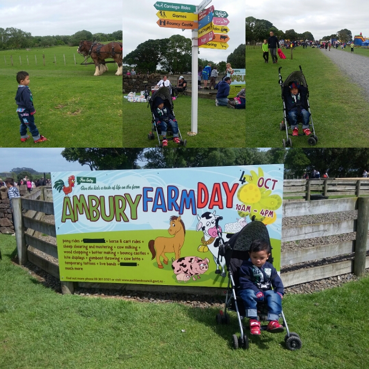 Ambury Farm Day | HAPPY MOMMY STORIES
