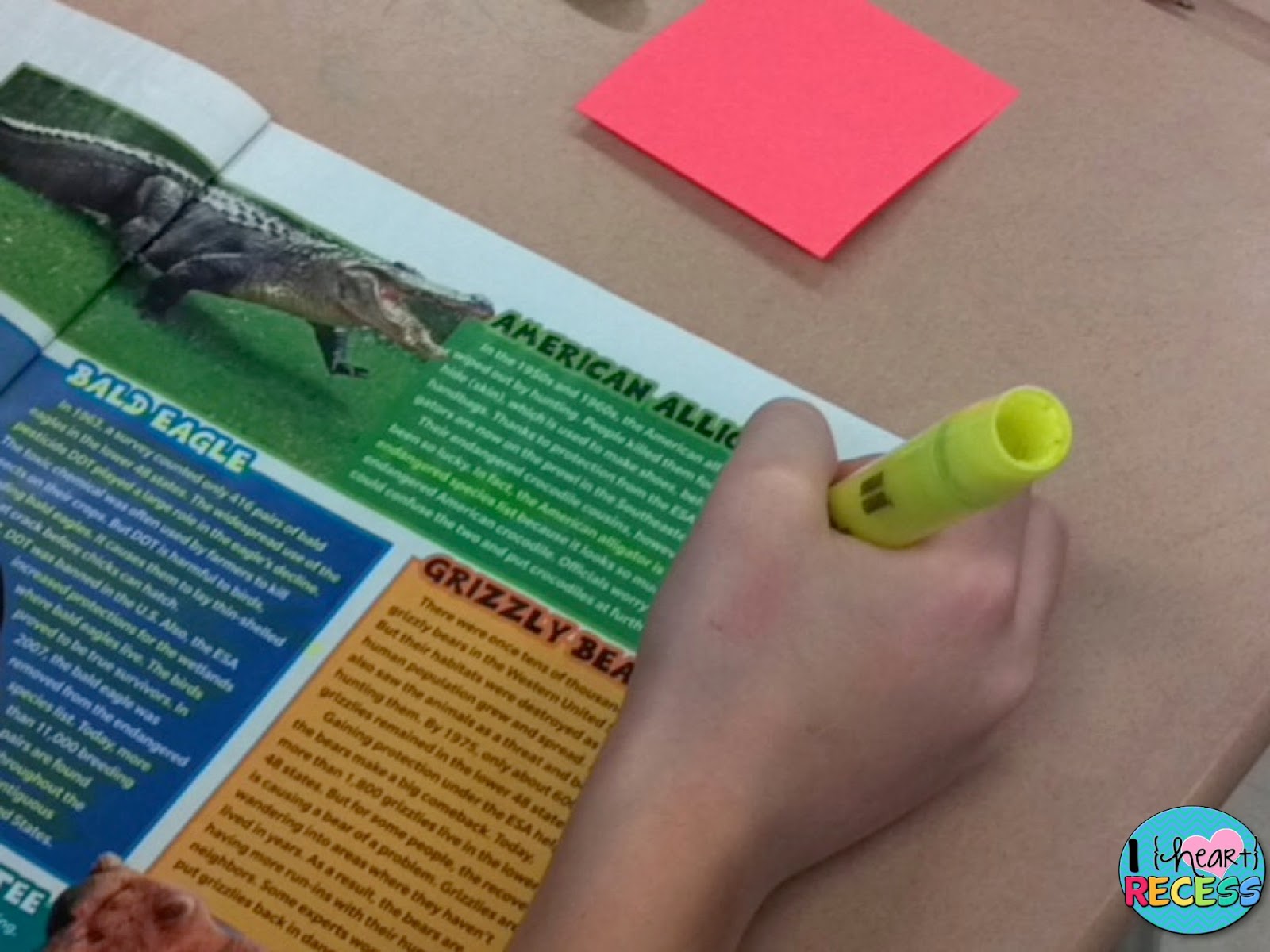 Teaching Main Idea In Grades 3 5 I heart Recess teaching-main-idea-in-grades-3-5-i-heart-recess