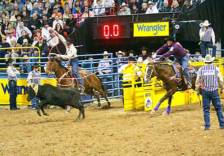 Rodeo Events: Team Roping