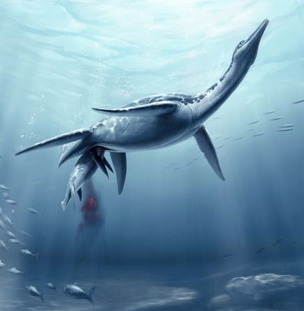 El Pensieve de Dinorider: PaleoArte - Plesiosaurio Pariendo, por ...