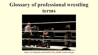 Glossary of professional wrestling terms
