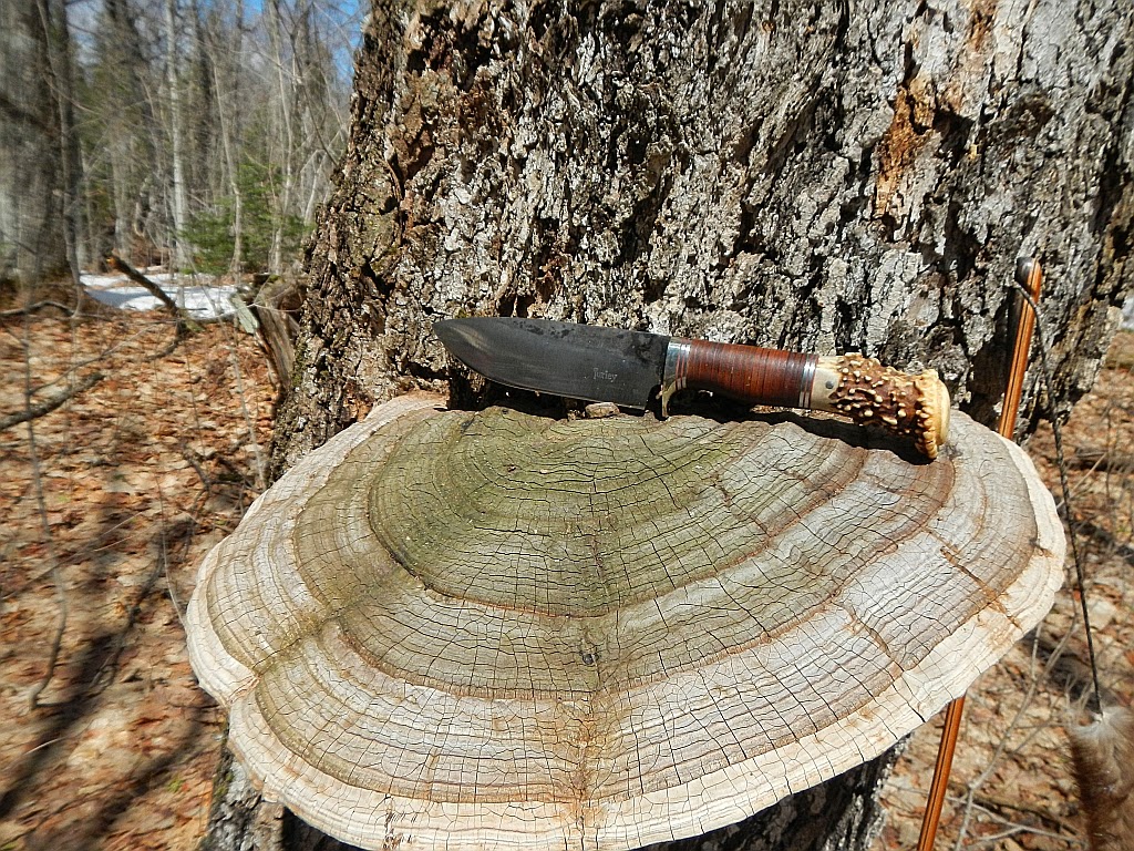 American Grouch: Stump Shooting Day Out with Son