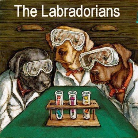 Medical Laboratory and Biomedical Science: The Labradorians