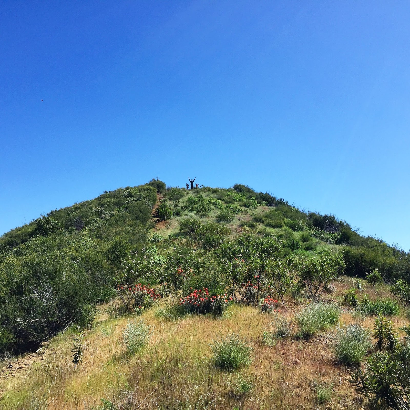 Run-Hike-Play: Valley Vista Trail Hike with the Fam