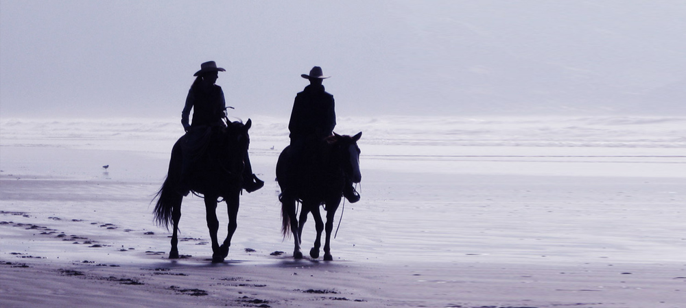 THINGS TO DO IN BALI GUIDE: KUDA P STABLES @ Pererenan