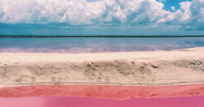 Nugget & The Pink Lakes