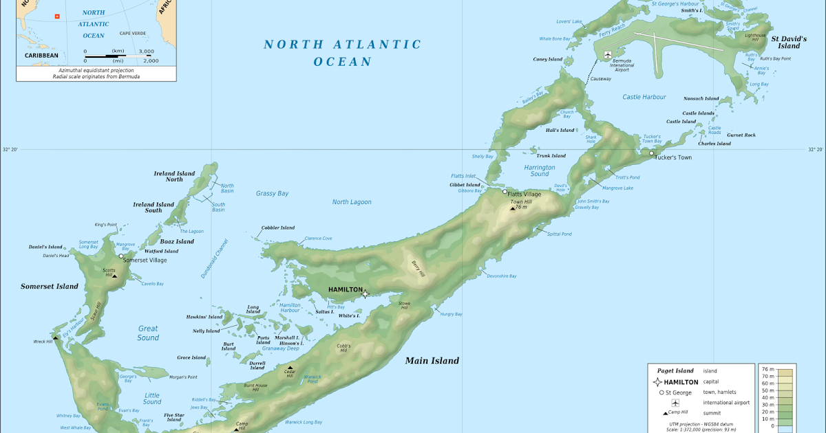 SNOWBIRDS AND SANDPIPERS - Tales from the Seaside: LIVING ON THE ROCK