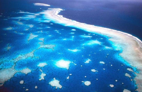 The Great Barrier Reef - Coral Paradise in Australia