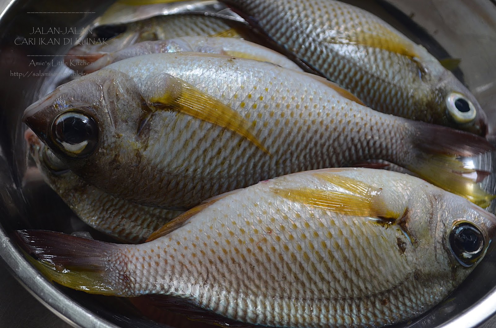 Jalan-Jalan Cari Ikan di Kunak - Amie's Little Kitchen