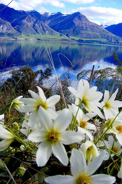 Best of the best: Our Amazing World!