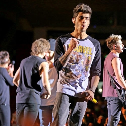 One Direction Girls ♥: Concierto en Santiago de Chile.-Where We Are ...