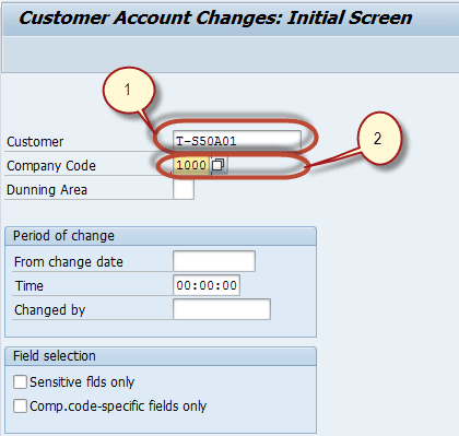 SAP FICO Central: How to Display Changes in Customer Master