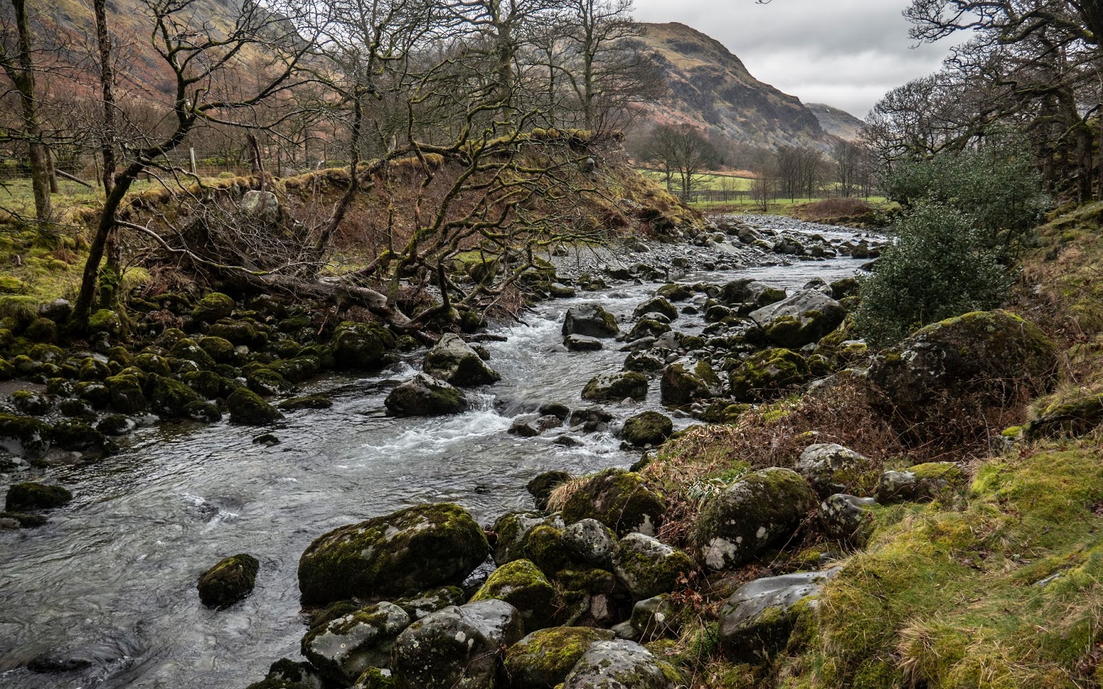 Wigtwizzle - Norman Smith's Travel Blog.: A typical Borrowdale day.