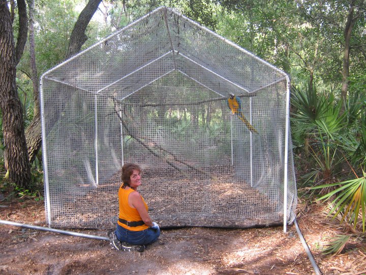 Zaksee Florida Bird Sanctuary: We love parrot