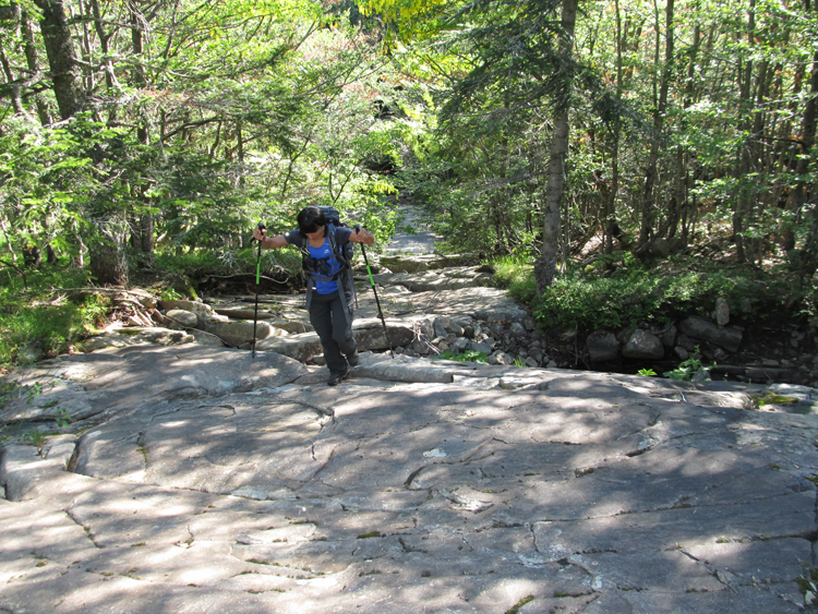 Escursionismo a 360°: Alpe Tre Potenze e Gomito (per il Lago del Greppo) EE
