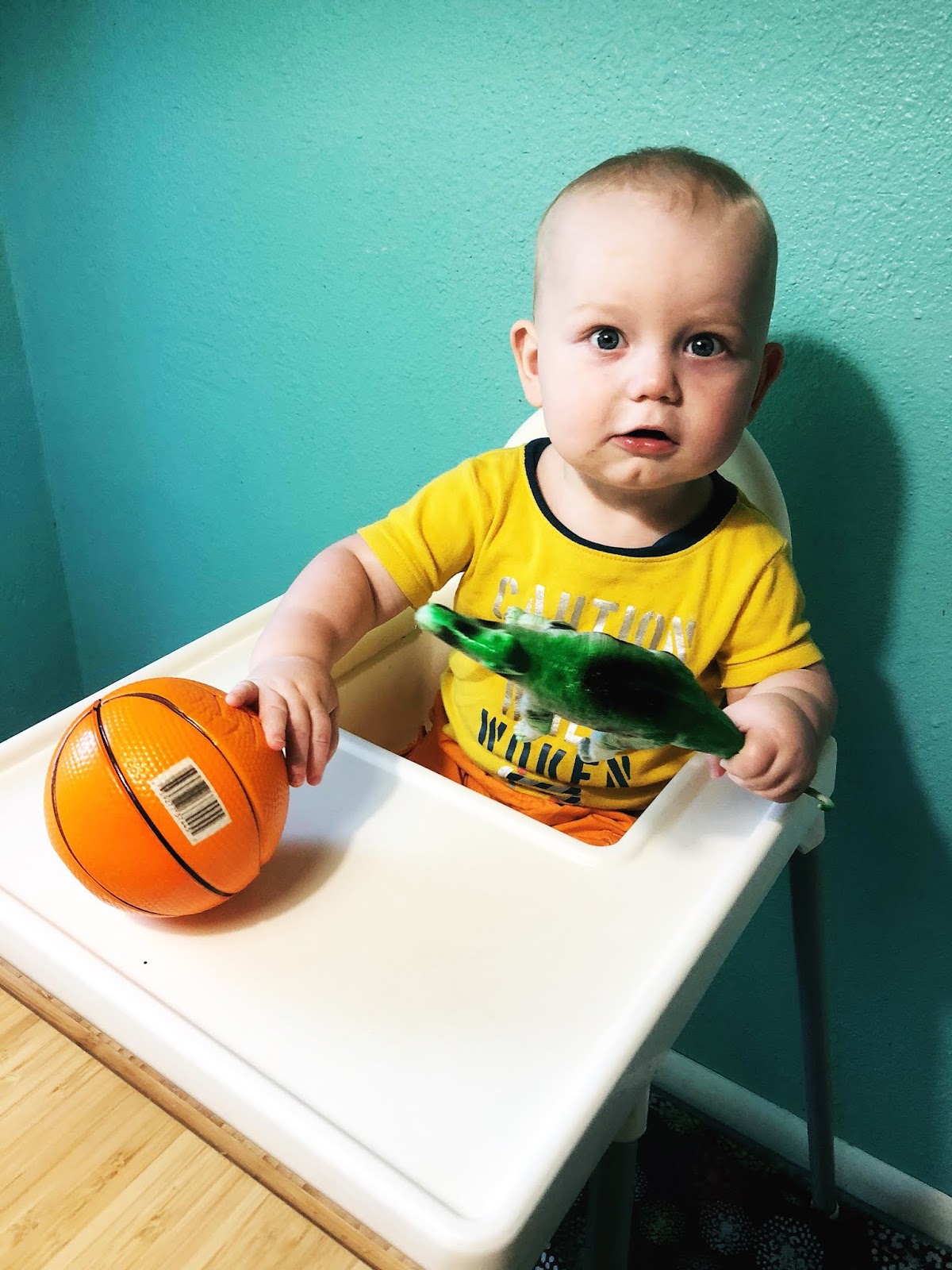 Baby Sullivan | Week Fifty Two, 1 year old!!! - Hollen Home