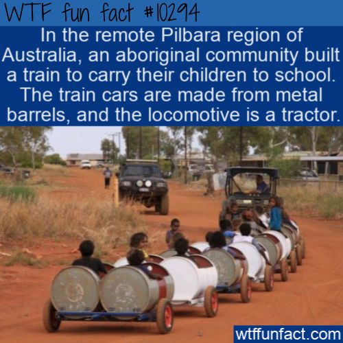 60 Amazing And Insane Random WTF Facts | Amazing WTF Facts