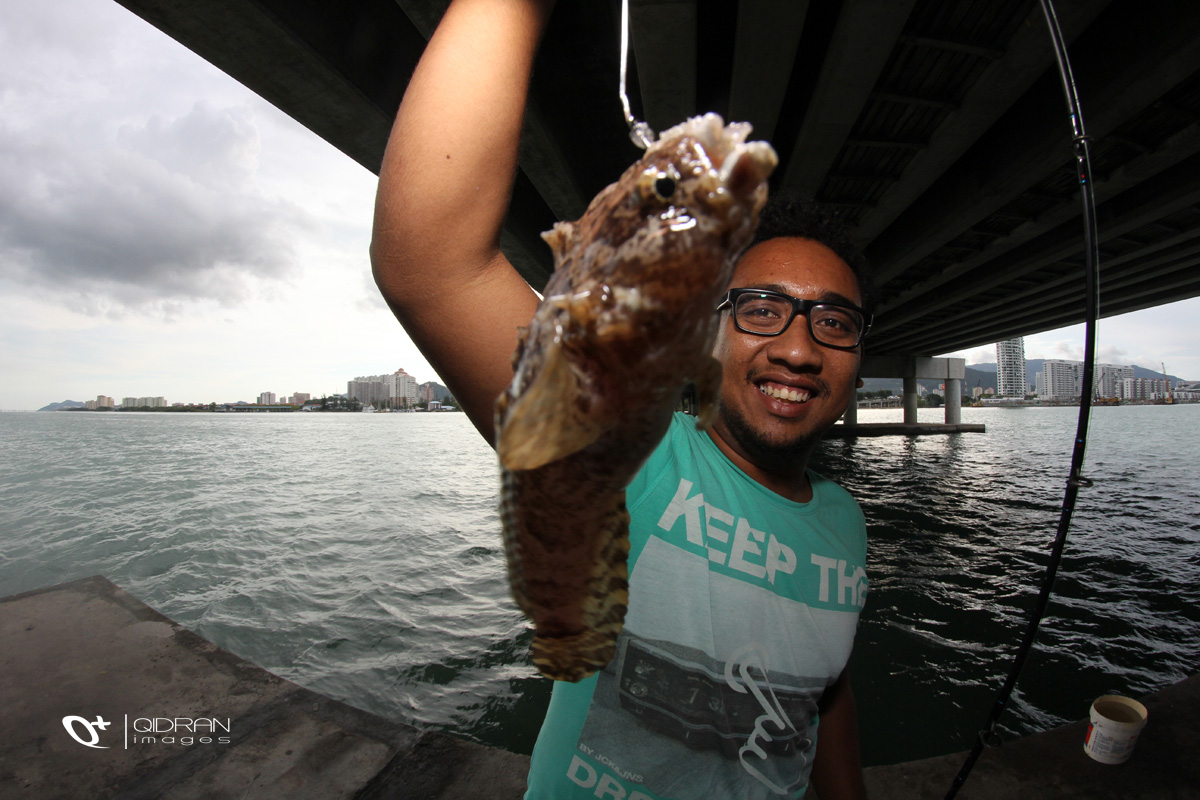 qidr.an ©: fishing | Penang Bridge