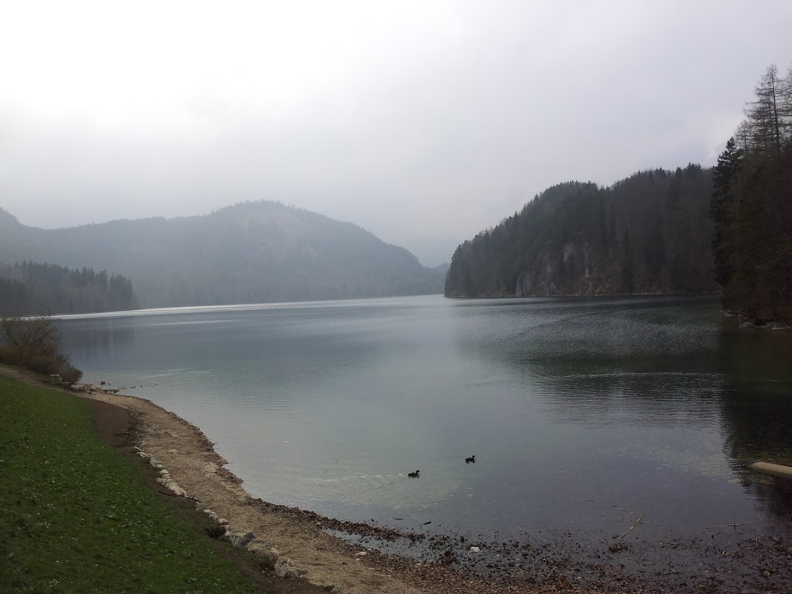 CASTELE BAVAREZE II - Neuschwanstein si Hohenschwangau