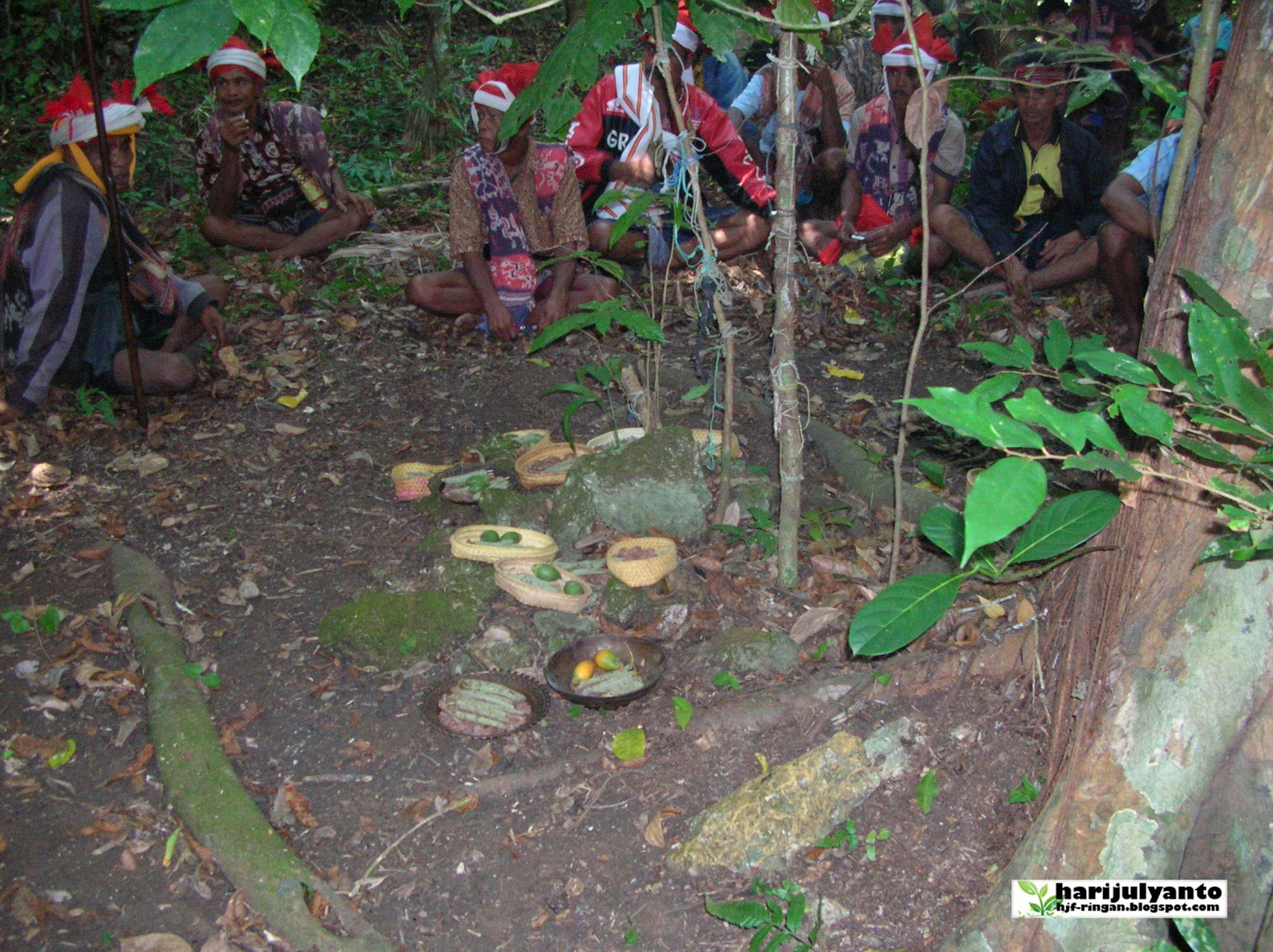 Ringan: Persembahan di Hutan Ritus ( Ritual Purung Taliang Marapu )