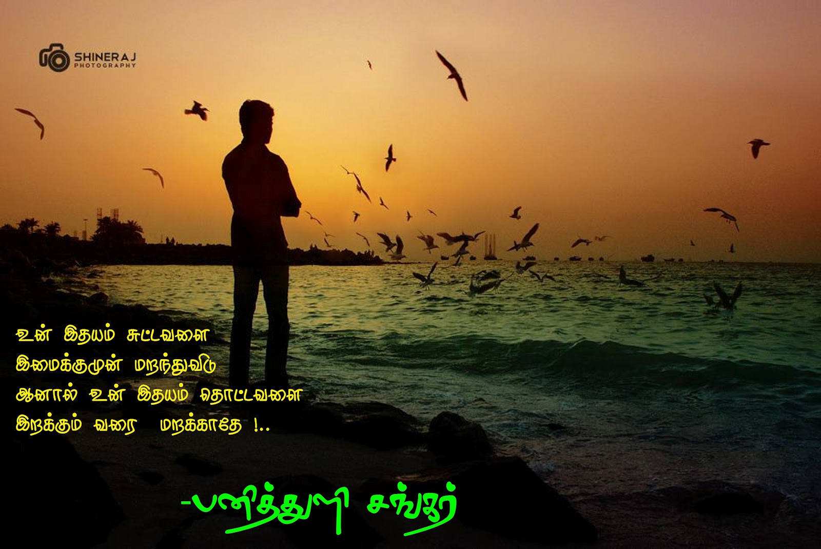 வாடகை இதயங்கள் - Panithuli shankar kavithai book !: Panithulishankar ...