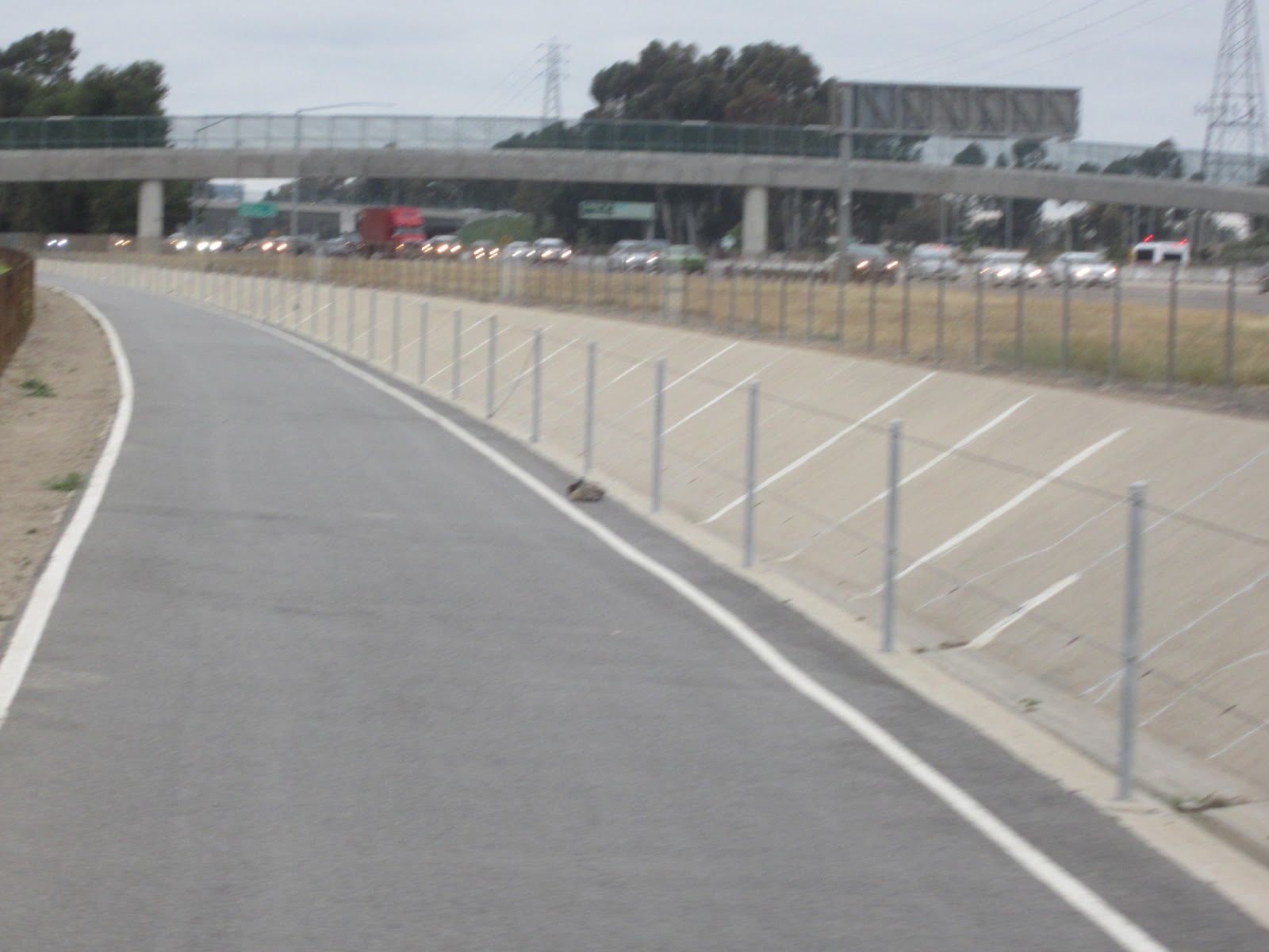 A Look At Traffic - Transportation in the World: The Growth of Orange ...