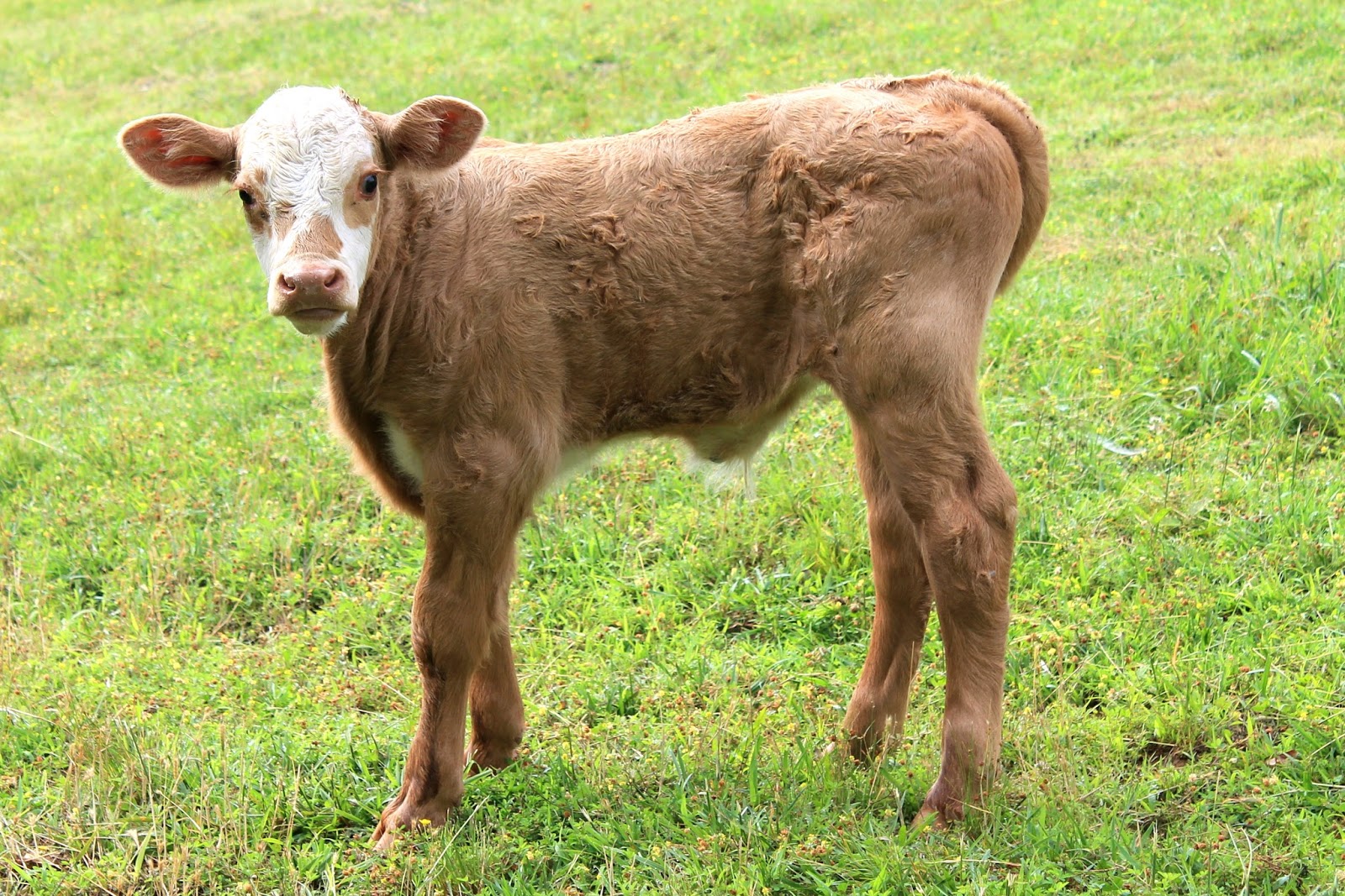 Keeping It Cozy: House and Spring Updates!