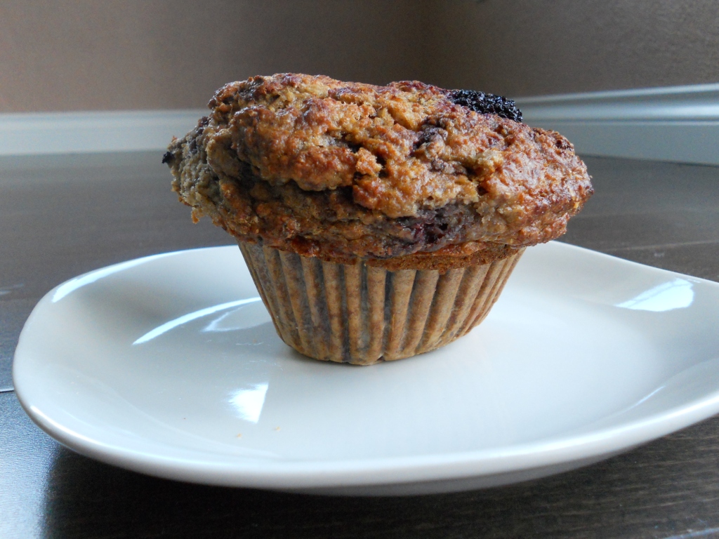 Snacking Squirrel: Salt Spring Island Part Three