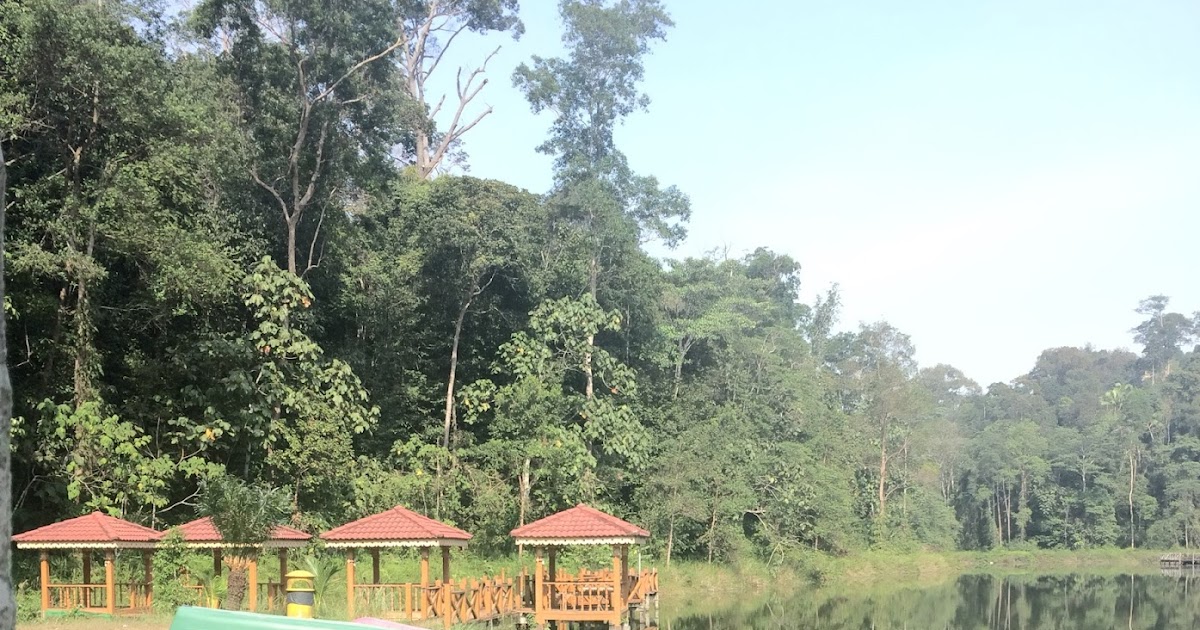 Wisey's Paypond Fishing Guide: Catch Report: Empangan Sungai Air Kuning ...