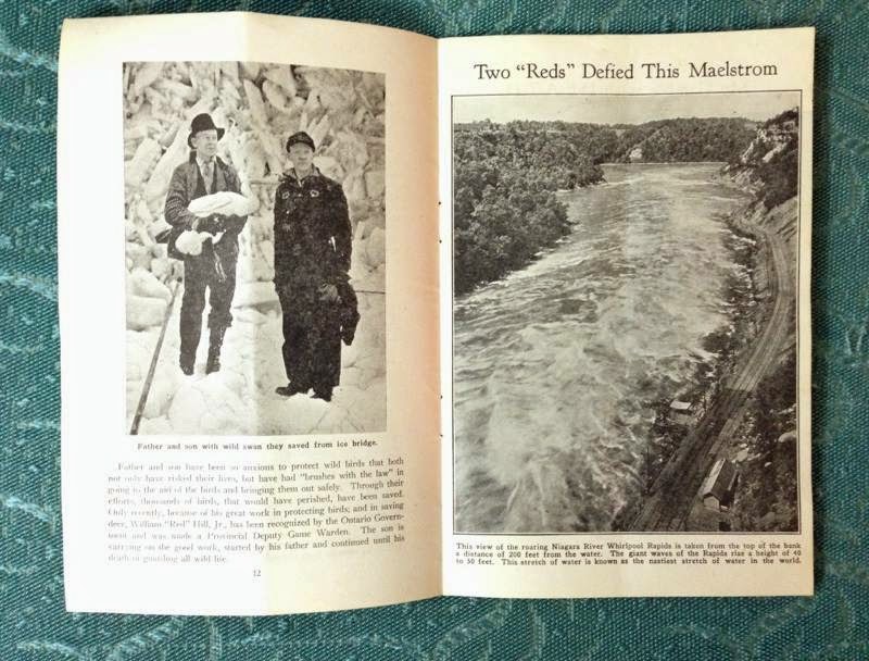 Ted Currie; Antique Head: William "Red" Hill Sr. and the Niagara Ice ...