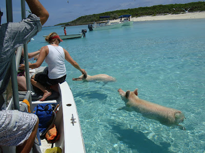Simply Exuma...: Exuma Park vs. the Southern Exuma Cays-- Which Option ...