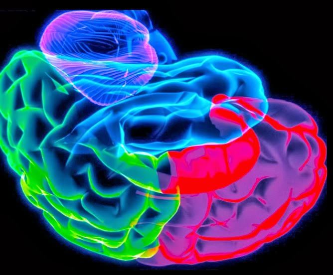 BIG BRAIN TECHNOLOGIES: Brain Cortex Machine Part 1 - Intro