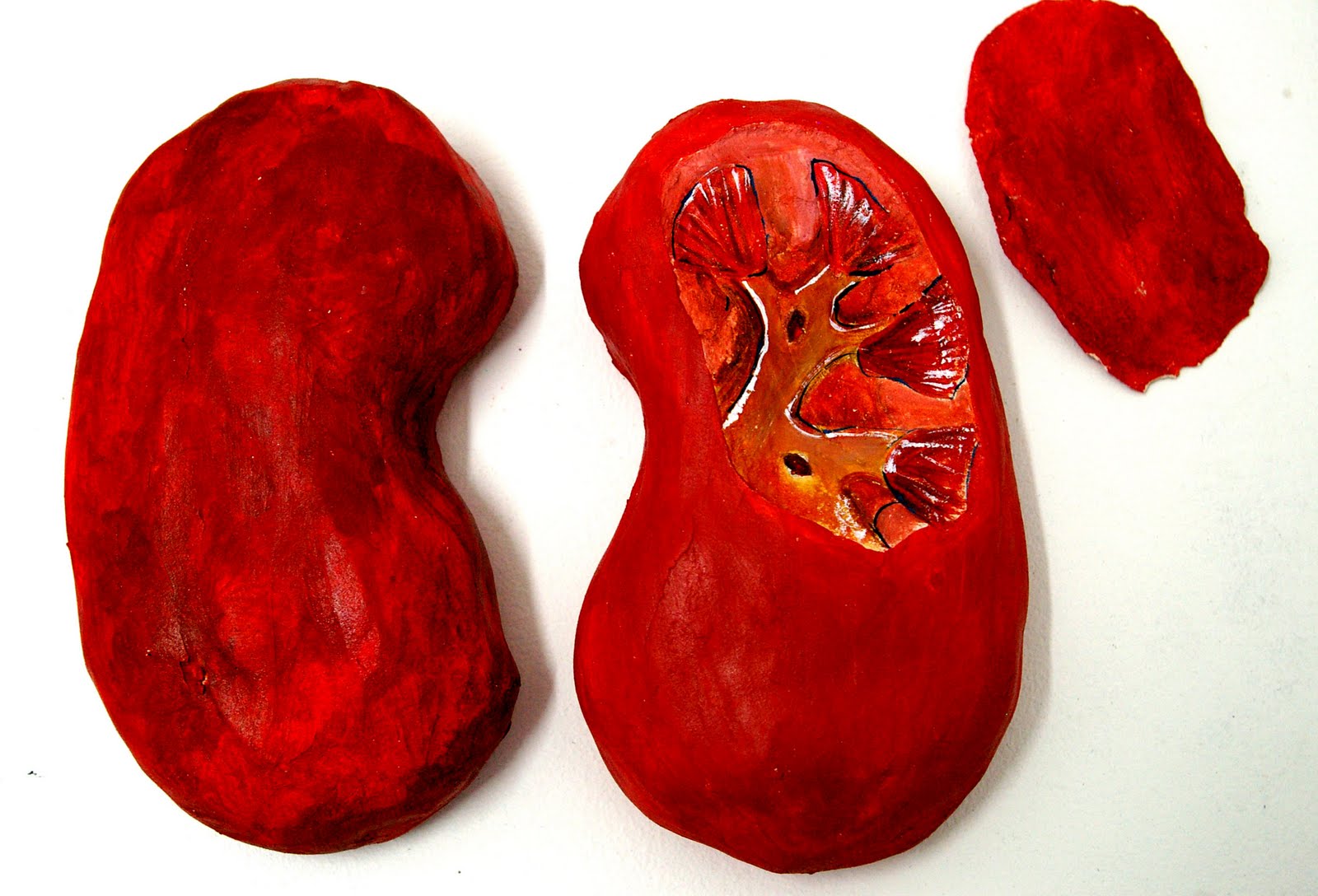 Plum Tree Illustration: Clay Organs