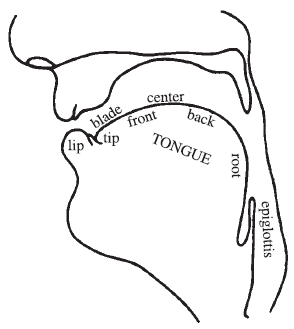 Who says I'm not studying?: LJ - Chapter 1 - Articulation and Acoustics