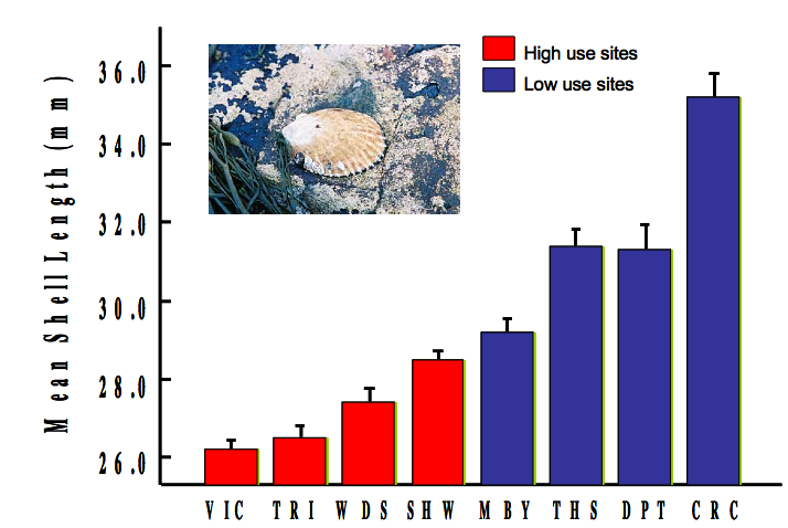 Geog 5 Lab 1G Final Projects: Southern California Tide Pools- Katie Bassak