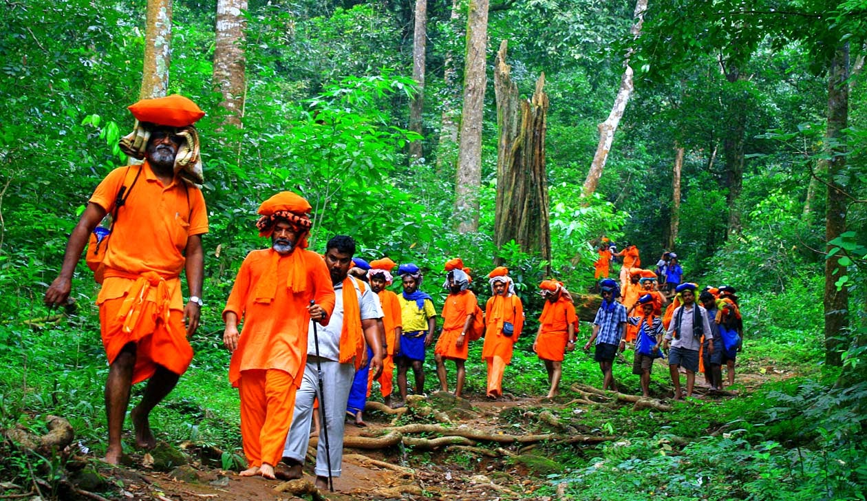 vision: Swami Saranam: Spiritual Journey Through The Deep Woods