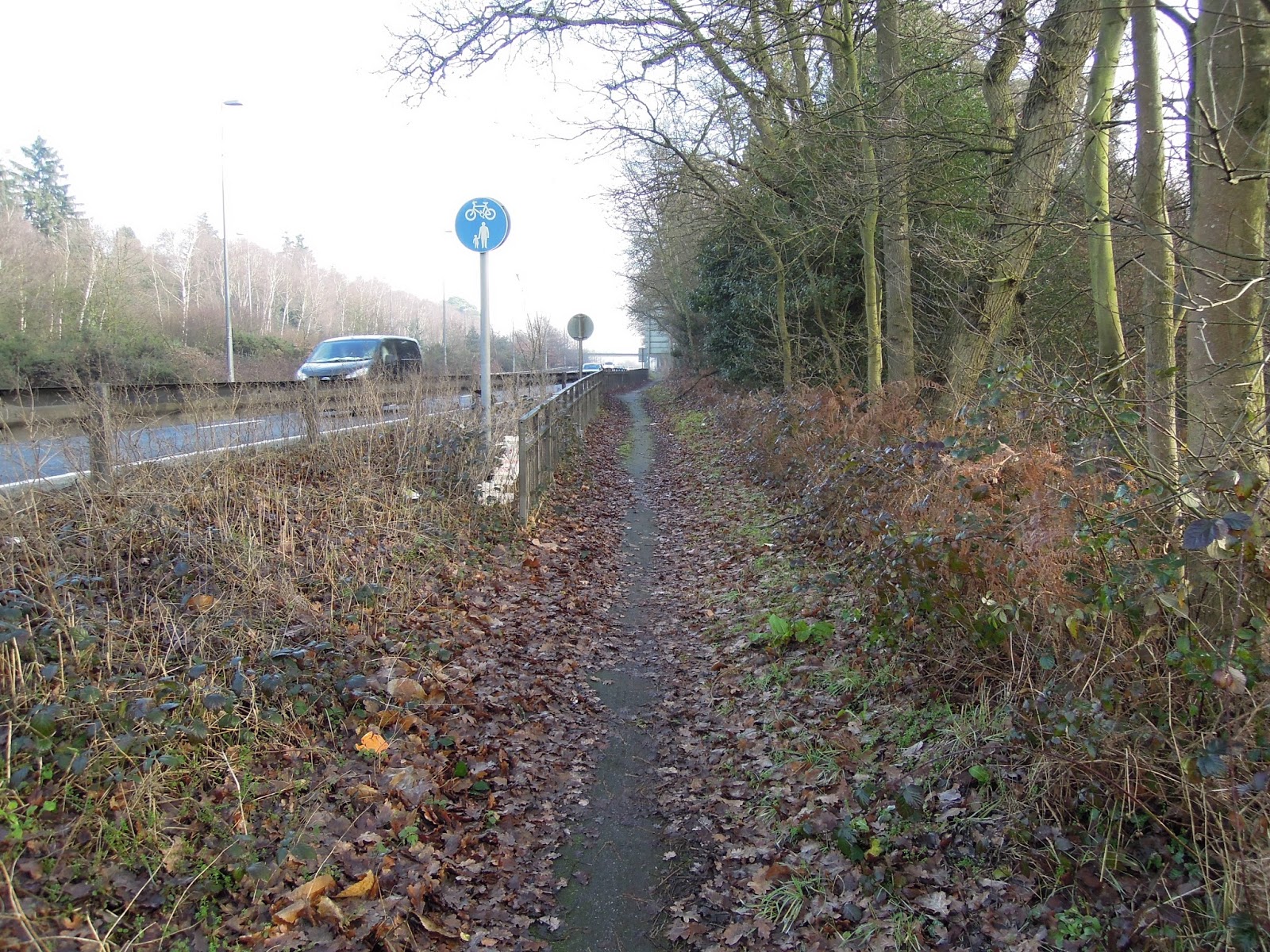 A3 Cycle Path from Guildford to Cobham