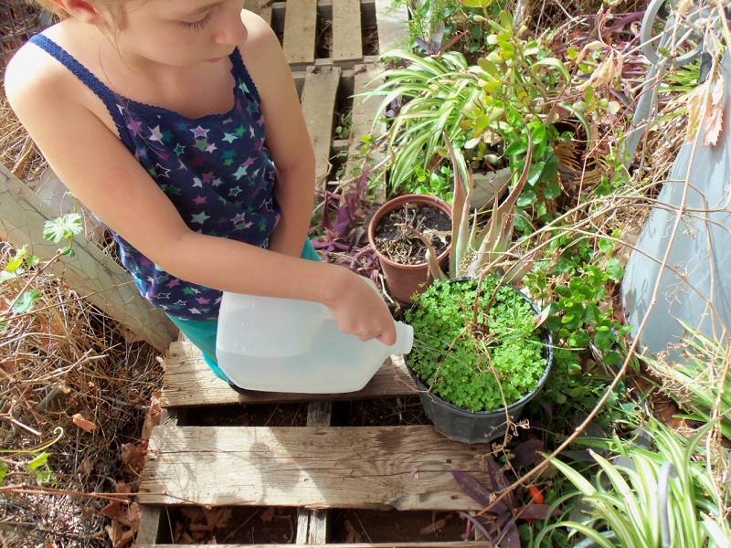 Reclaiming The Farm: 101 Uses for Milk Jugs