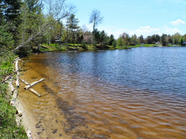 12.44 Wooded Acres with 349 Feet of Secord Lake Waterfront