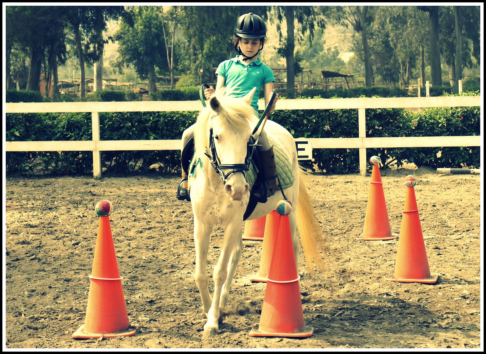 Un dia en mi vida ...: Galope 1 2012