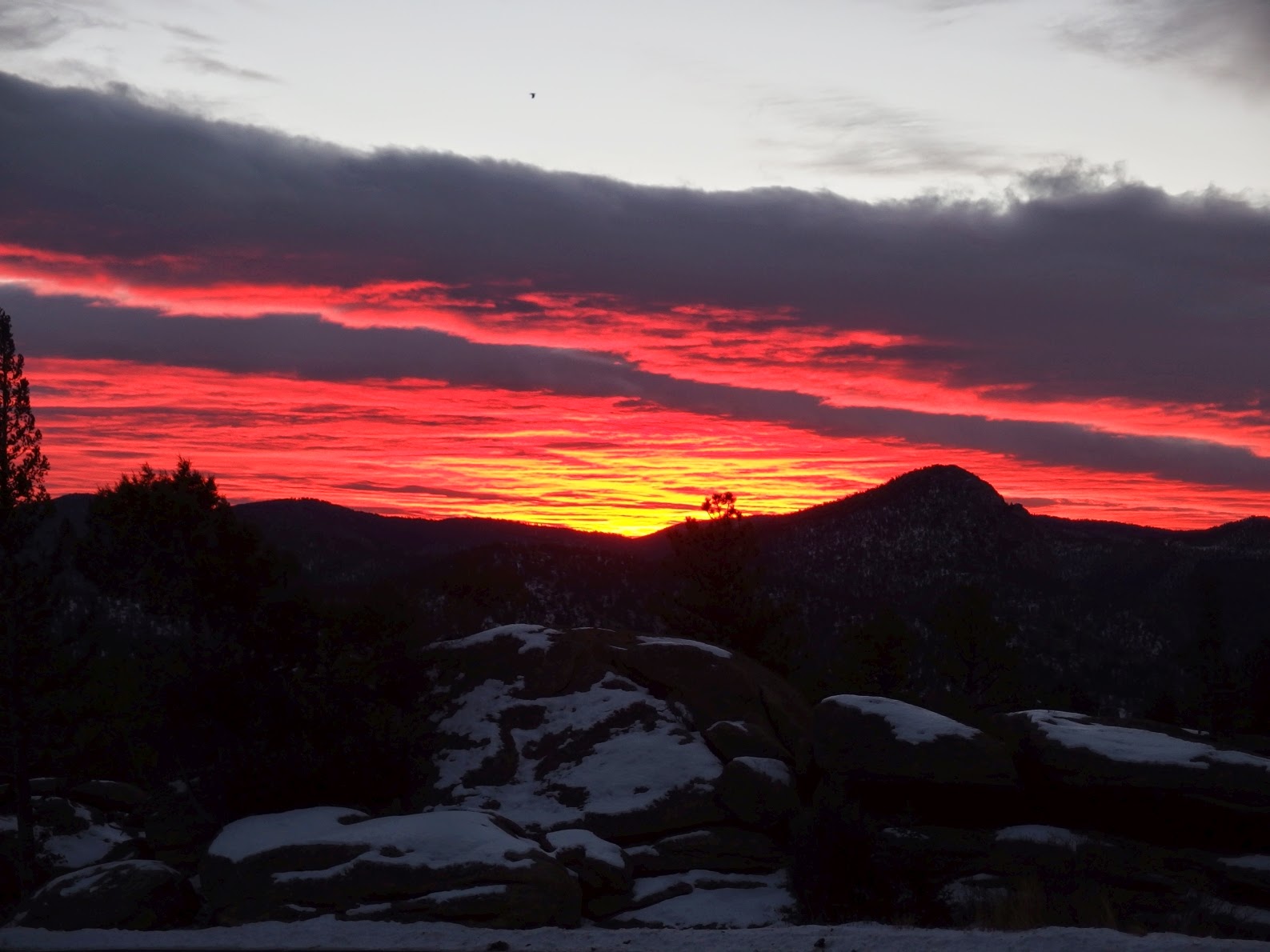 Hiking Rocky Mountain National Park: Lumpy Ridge Loop and Sheep ...