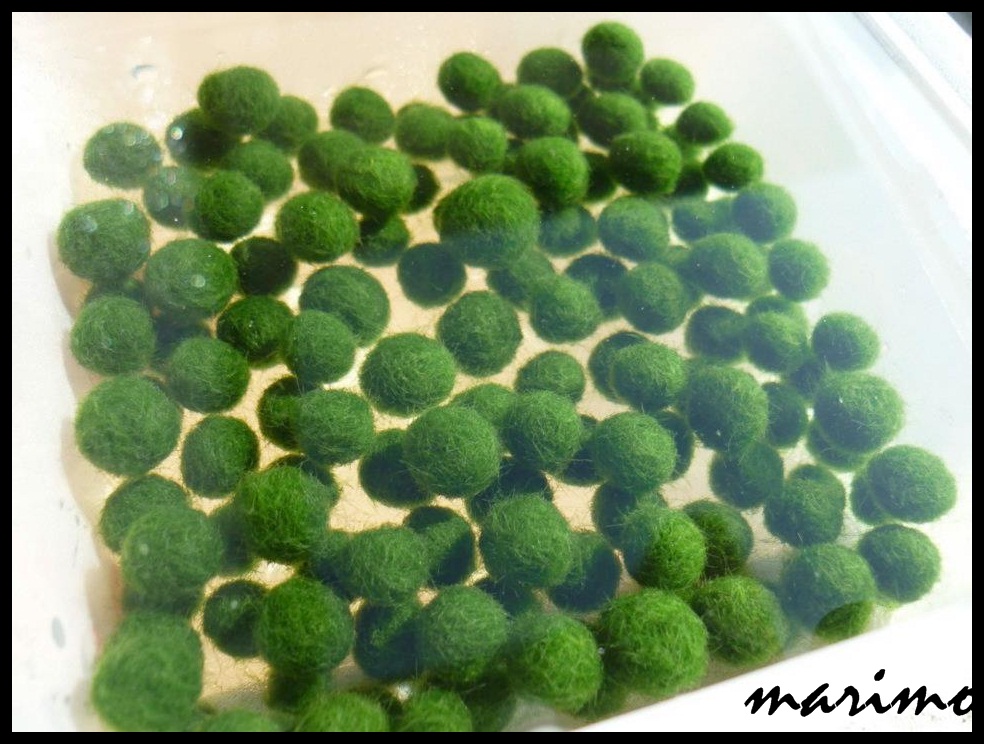 Marimo chan: Legendary Story