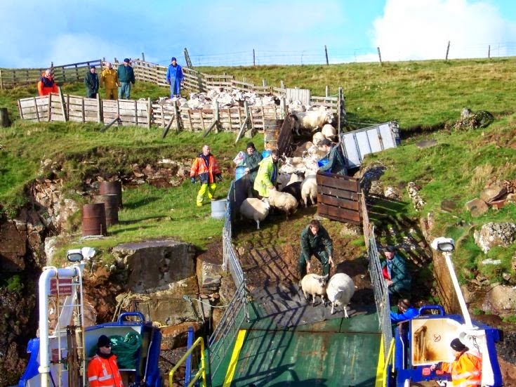 Scottish Islands Explorer: Faray is far from Fara