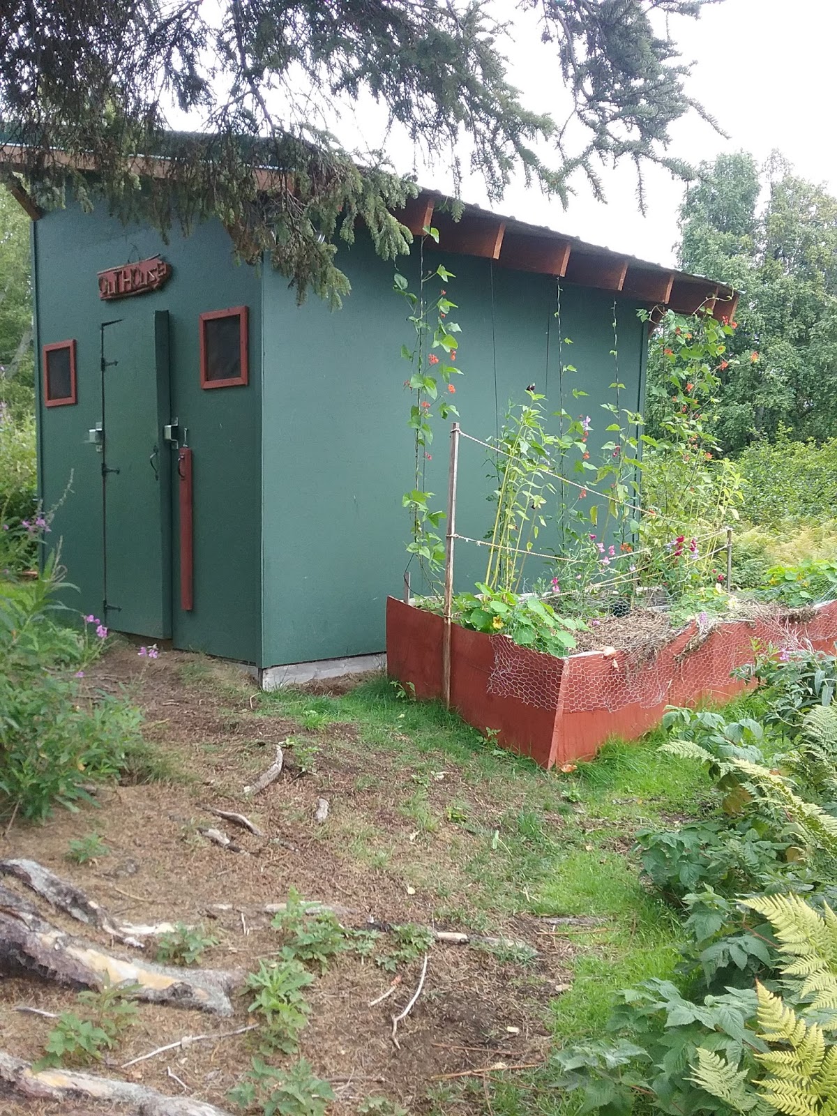 Alaska Bush Life, Off-Road, Off-Grid: Walking Tour of a Remote, Off ...