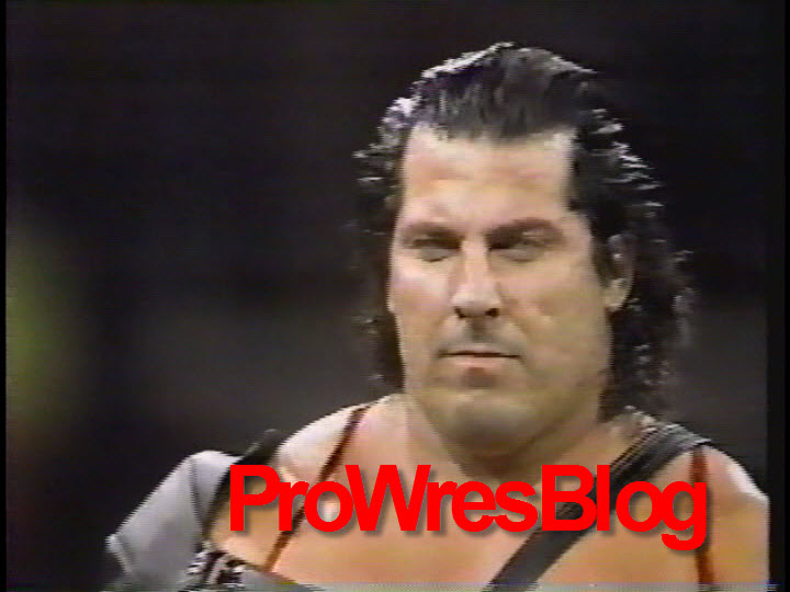 ProWresBlog: WCW Power Hour 1/26/1991 Review