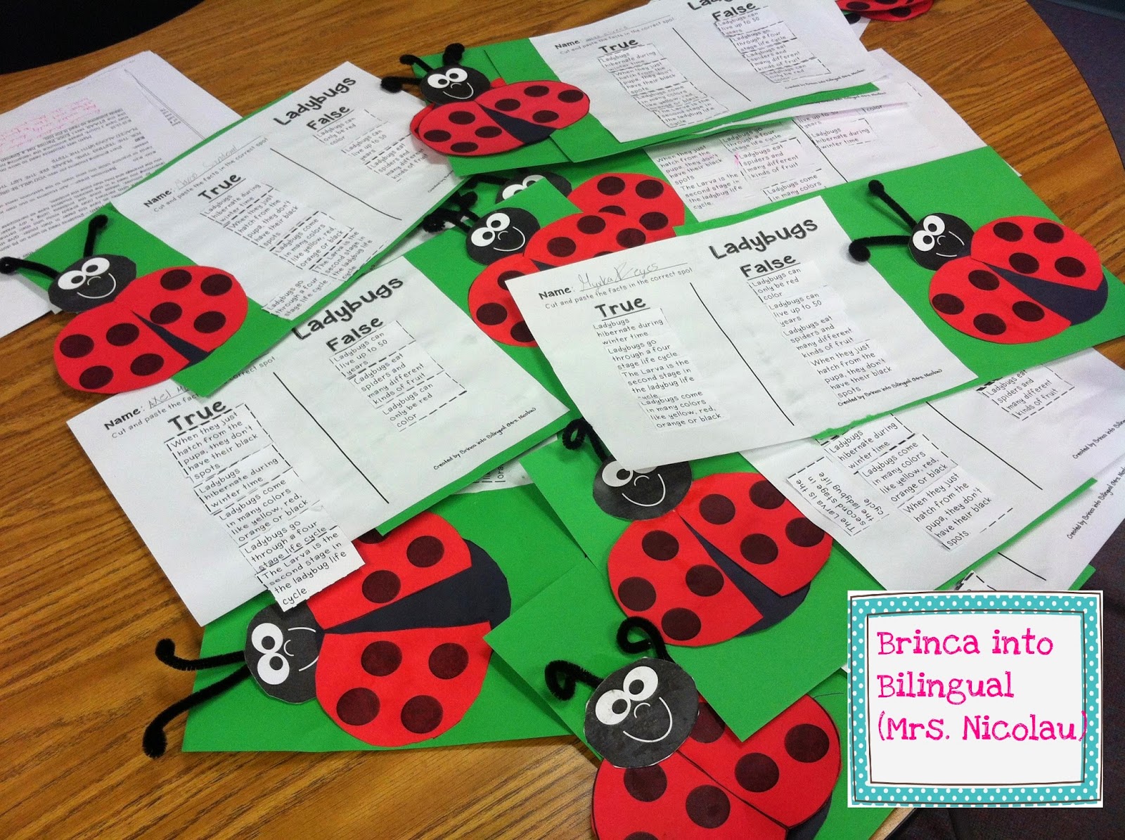 Brinca Into Bilingual (Mrs. Nicolau): My Spring Break, Life Cycle of ...