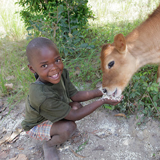 Wicked Awesomology: 2013