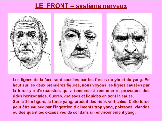 ALERTE VOTRE CORPS VOUS PARLE: N°5 – LES CHEVEUX, LE FRONT, LA LANGUE.